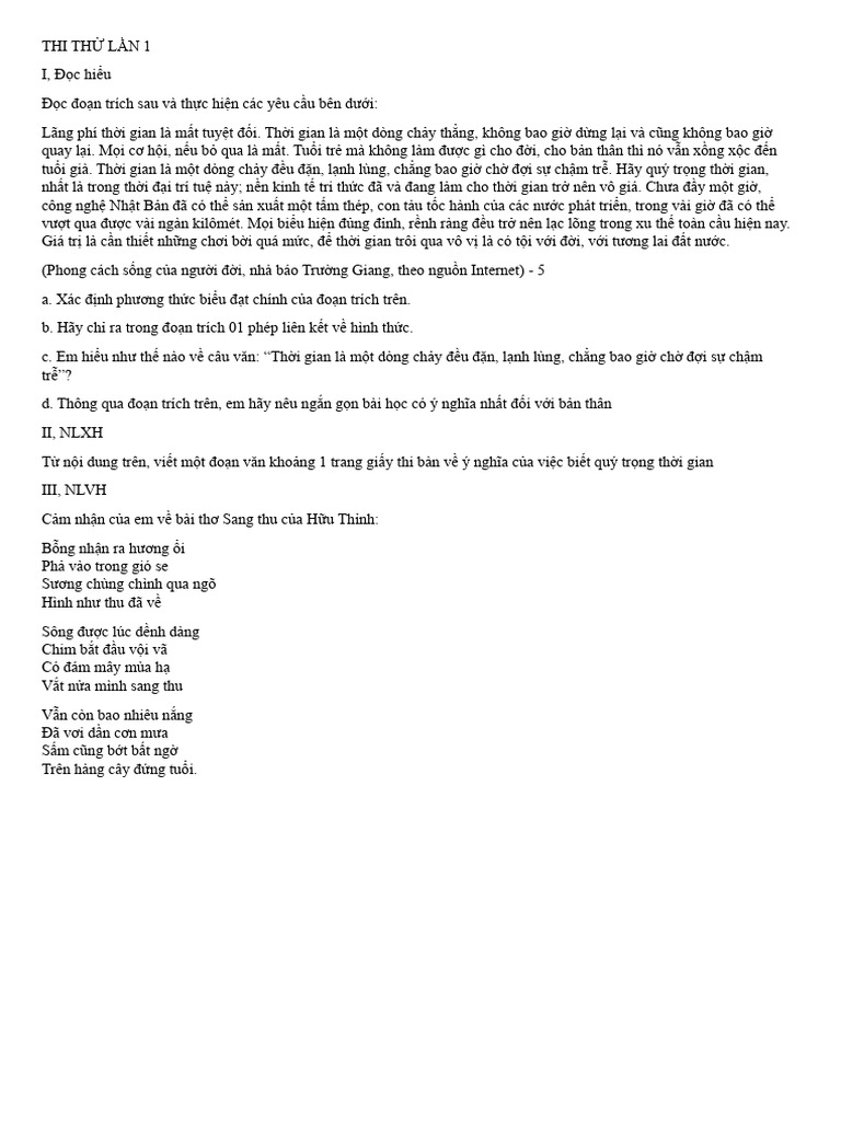 THI TH Self-Conducted | PDF