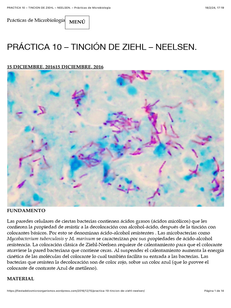 PRÁCTICA 10 - TINCIÓN DE ZIEHL - NEELSEN. - Prácticas de Microbiología ...