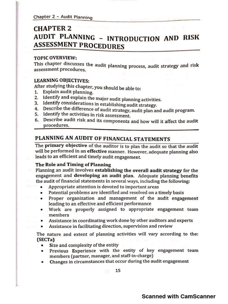 02 - Audit Planning | PDF