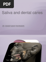 Sialogogues for Saliva Production | PDF | Wellness