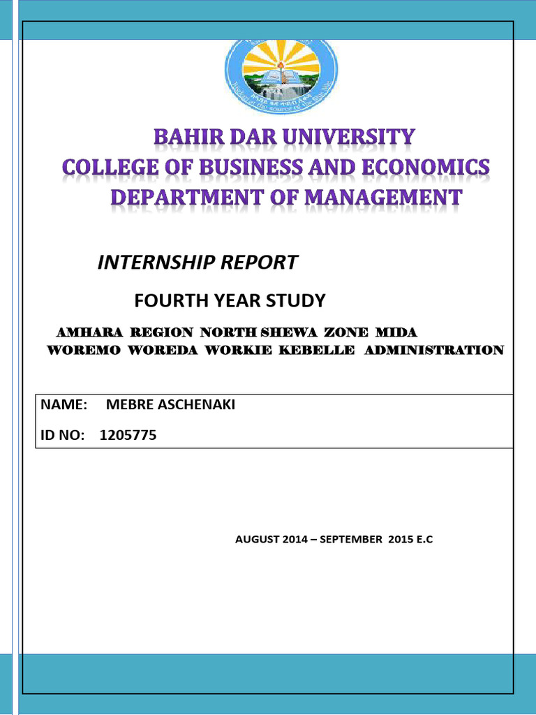 Internship Insights: Workie Kebelle | PDF | Social Science