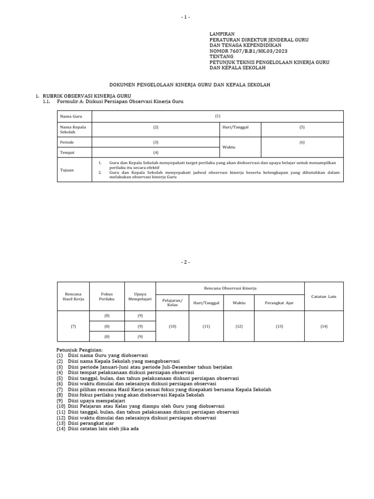 Lembar Observasi PMM (1) | PDF