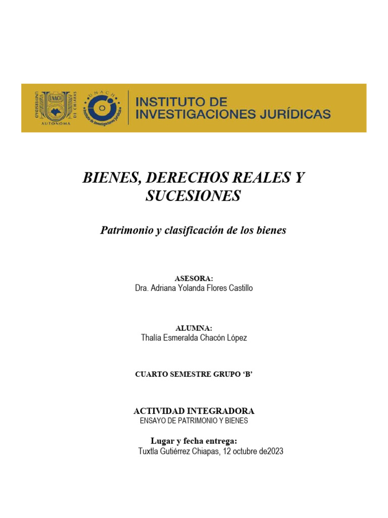 Patrimonio y clasificacion de los bienes | PDF | Bienes (Ley)
