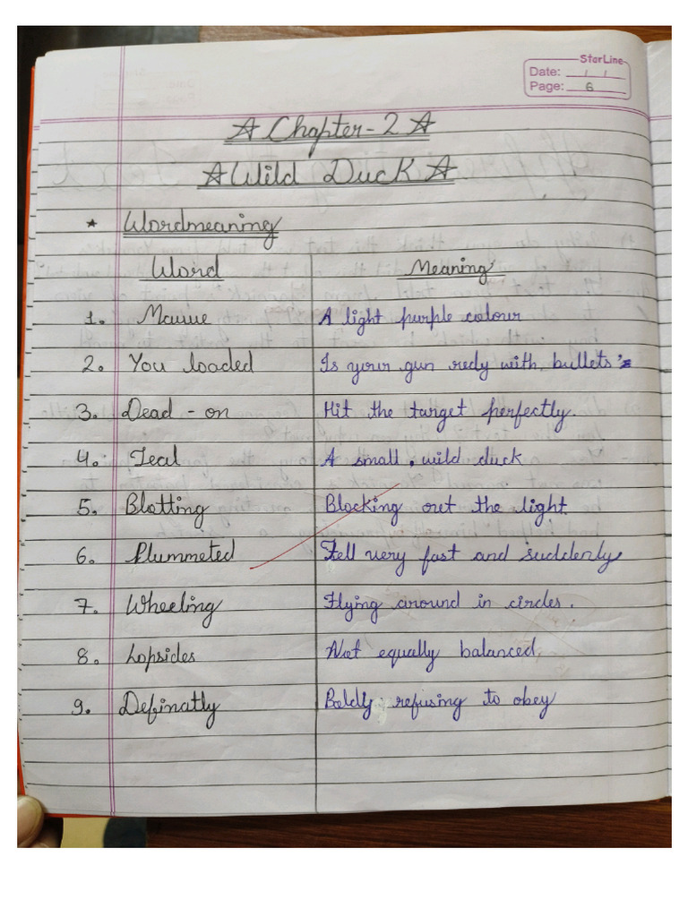 6th 2 Wild Duck | PDF