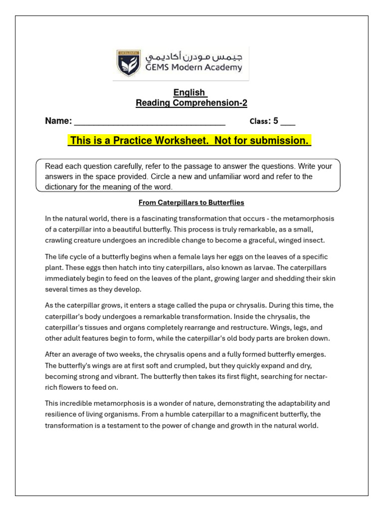 Caterpillar to Butterfly Comprehension | PDF | Butterfly | Pupa