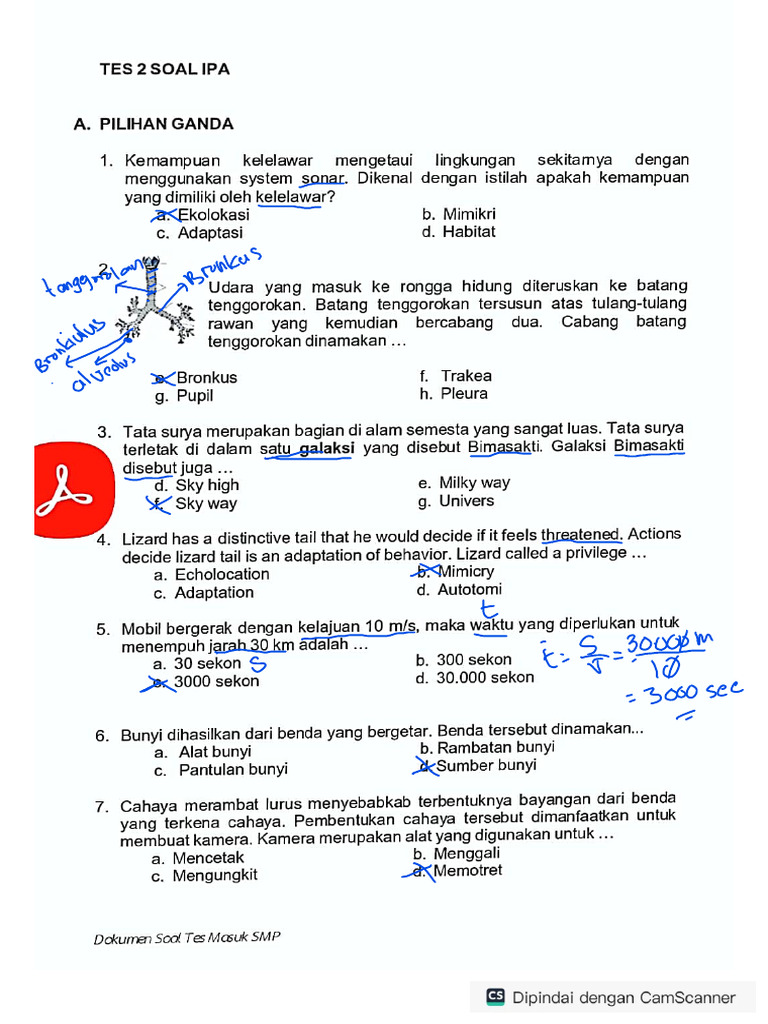(Filled) To Ipa 1 PMB LS | PDF