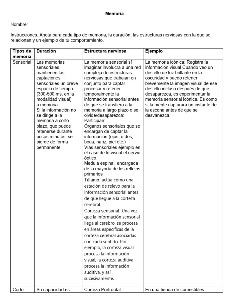 Tipos de Memoria y su Funcionamiento | PDF | Cerebro | Memoria