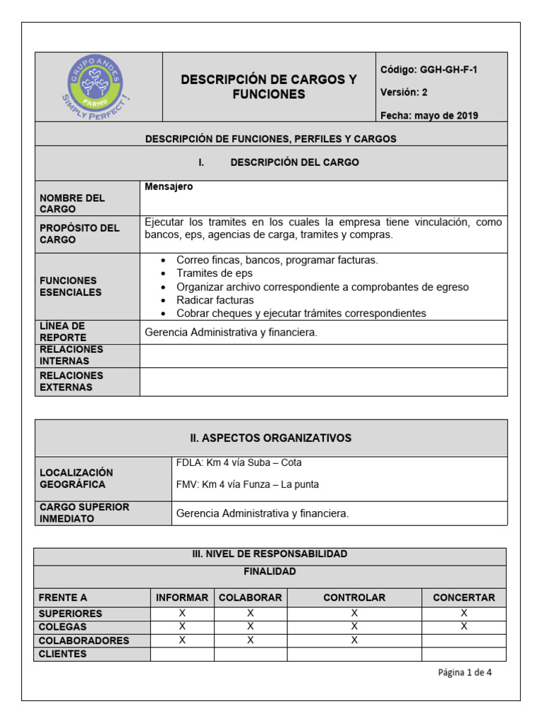 FORMATO DE DESCRIPCIÓN DE CARGOS Y FUNCIONES | PDF | Business