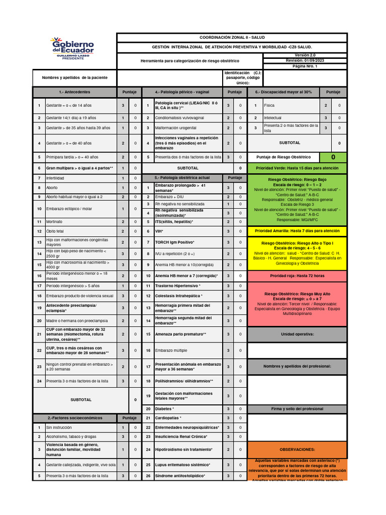 Formulario Digital de Categorización de Riesgo Obstétrico 2019 (3 ...