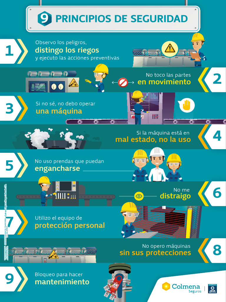 Afiche 9 Principios de Seguridad | PDF