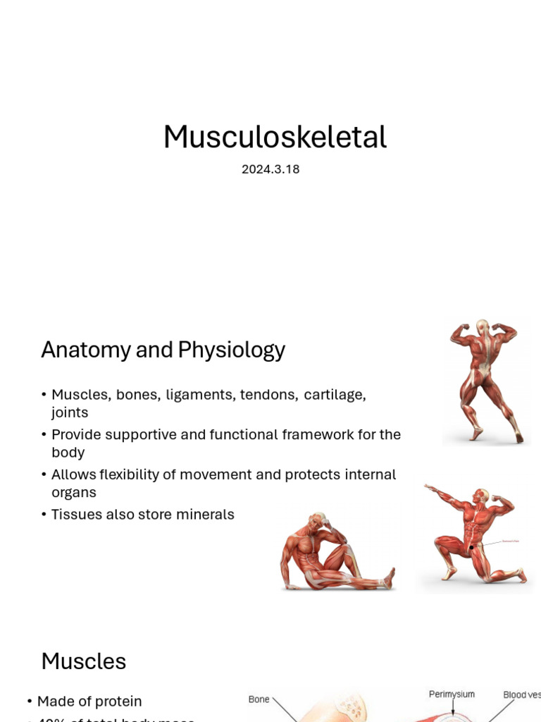 Musculoskeletal | PDF | Bone | Human Musculoskeletal System
