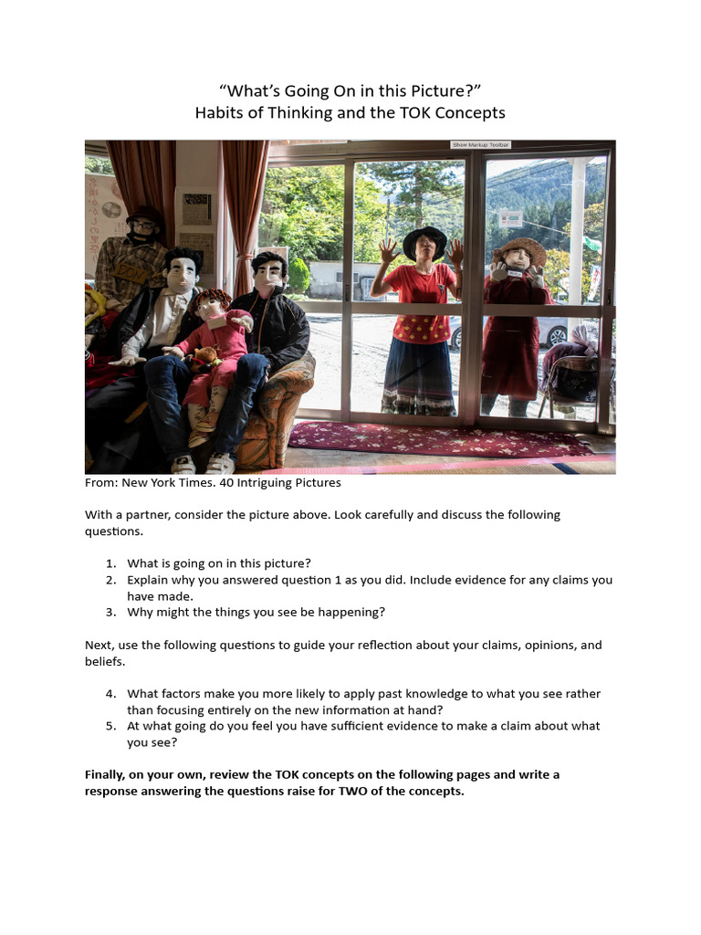 TOK Concepts Intro | PDF