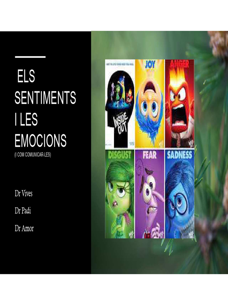 Els Sentiments I Les Emocions | PDF