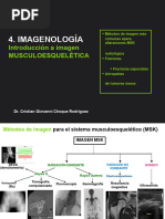 Ángulo Cérvico-Diafisario del Fémur | PDF