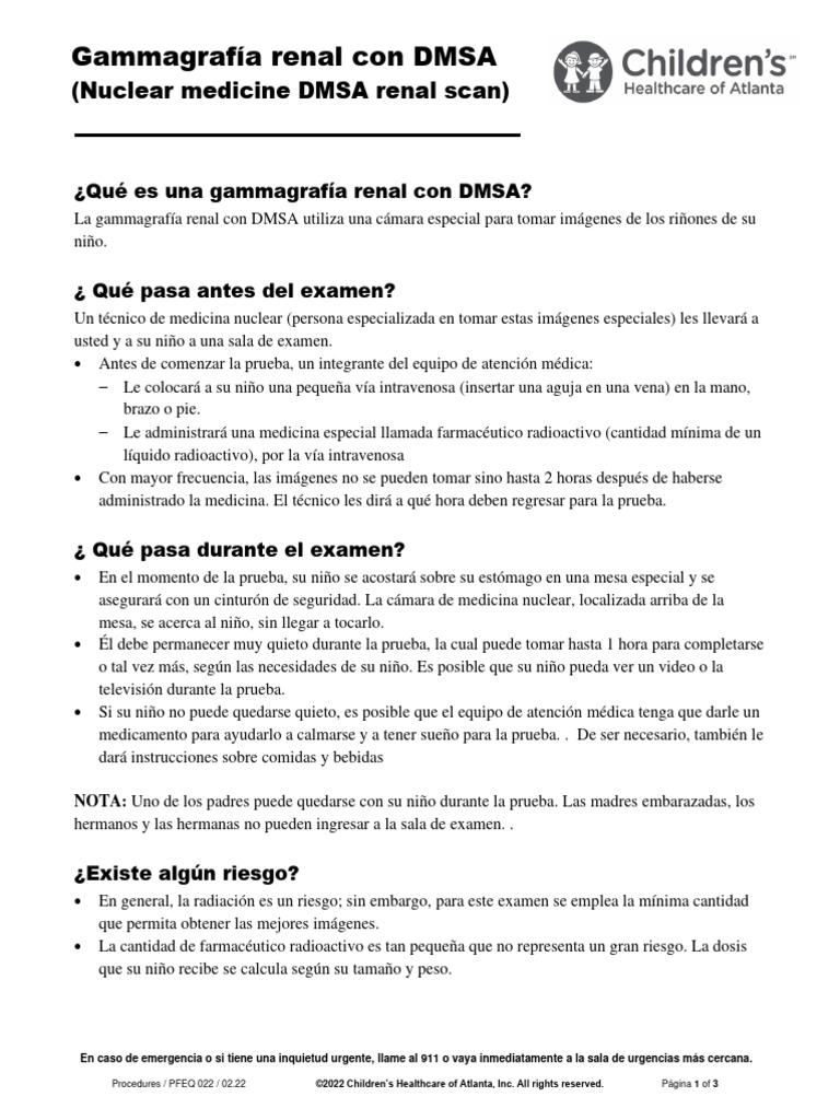 Dmsa Renal Scan SP | PDF | Radiología | Especialidades Medicas