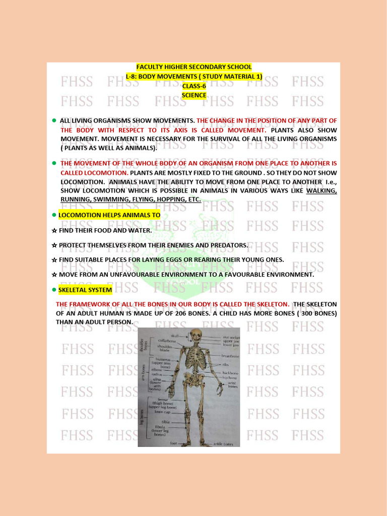 L-8 - Study Material 1 - Class 6 - Body Movements | PDF | Vertebral ...