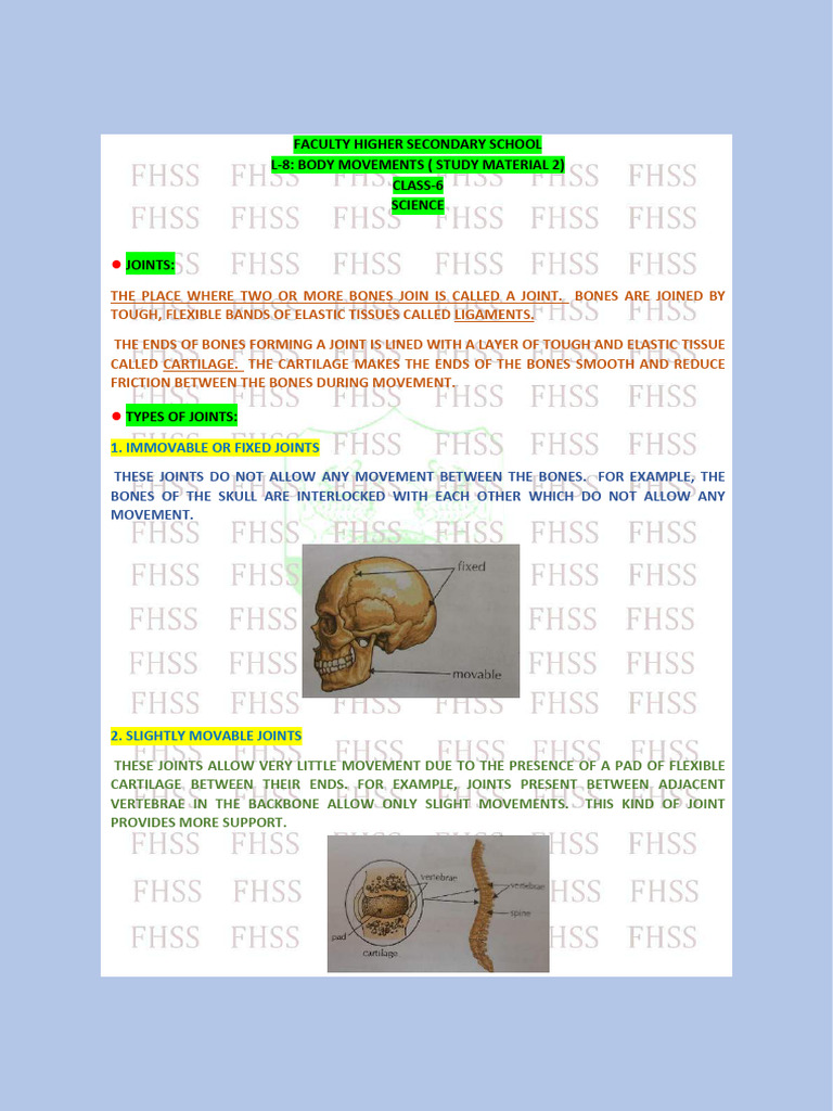 Understanding Body Movements in Joints | PDF | Joint | Muscle