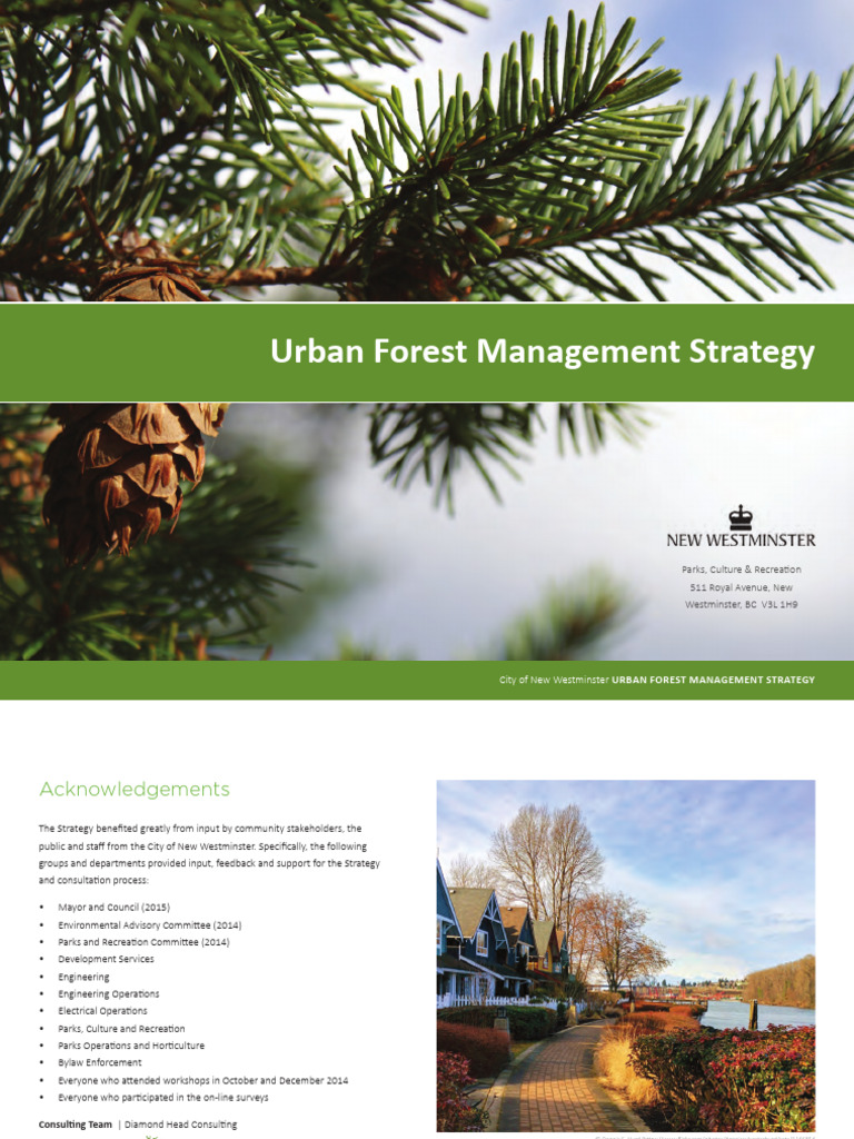 Urban Forest Management Strategy Finalreduced Size Pdf Green