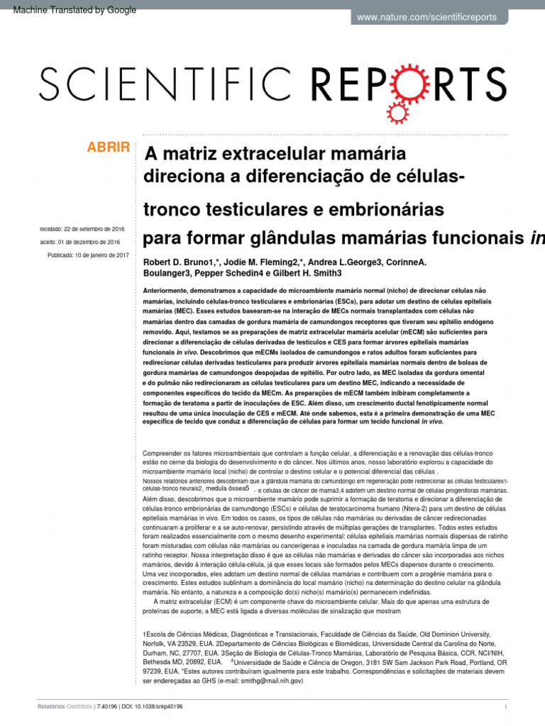 Nicho Mamário Redireciona Células-Tronco | PDF | Epitélio | Câncer