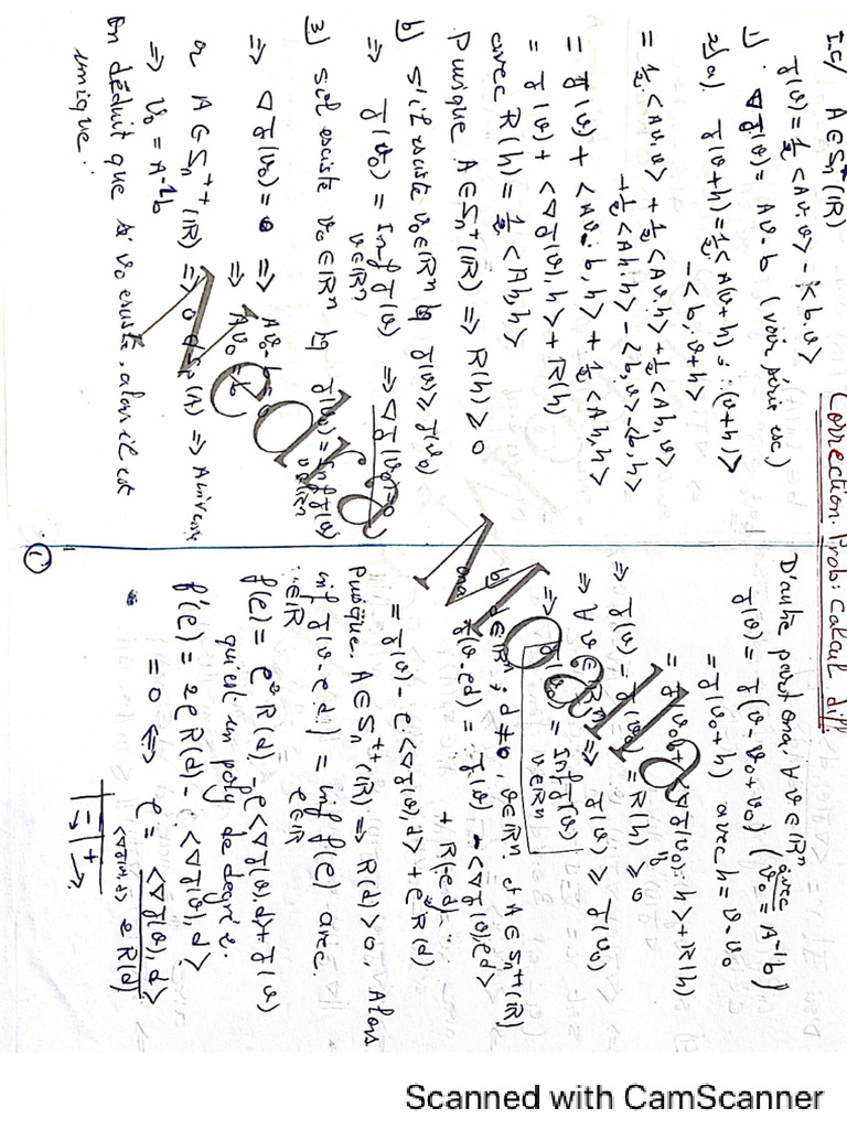 Correction Prob Calcul Différentiel | PDF