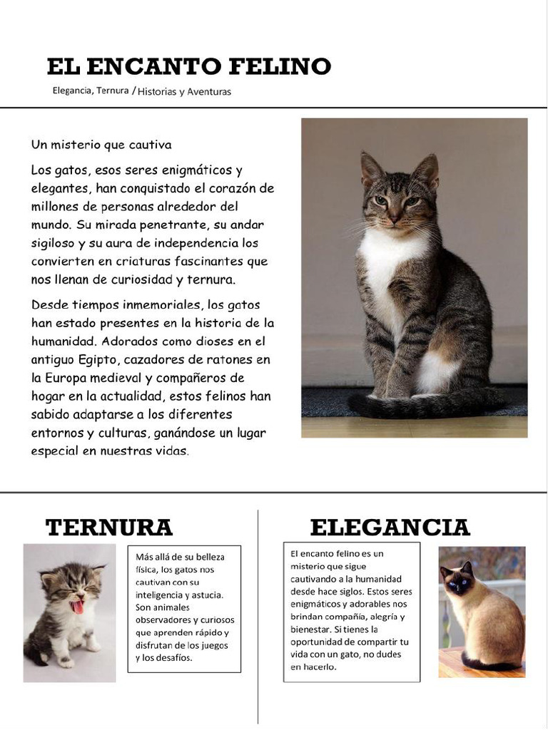 Tipos de Gatos | PDF | Gatos | Animales y humanos