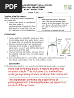 Testing Leaves For Starch | PDF | Photosynthesis | Leaf