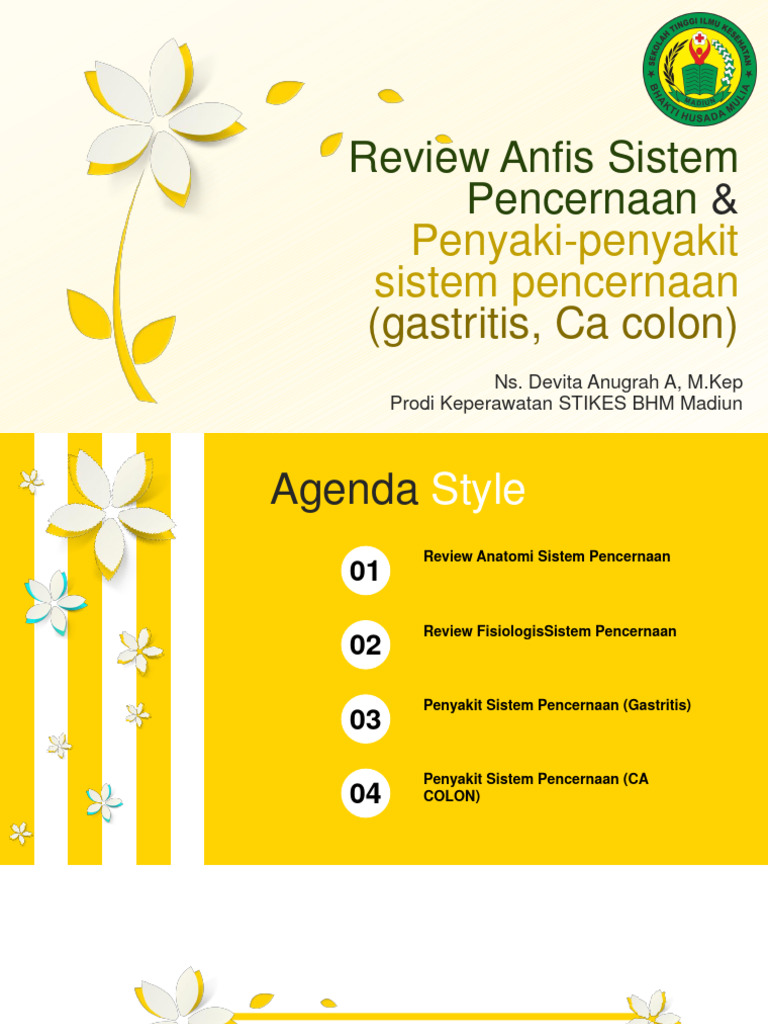 Review Anfis Sistem Pencernaan | PDF Review Anfis Sistem Pencernaan | PDF