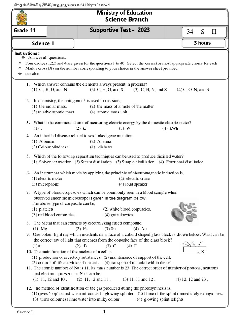 2023 Grade 11 model paper Eng MCQ 2024.04.03 | Download Free PDF ...