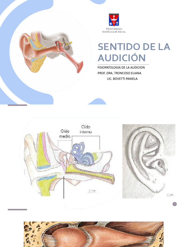 Sentido de La Audición | PDF | Escuchando | Sonido