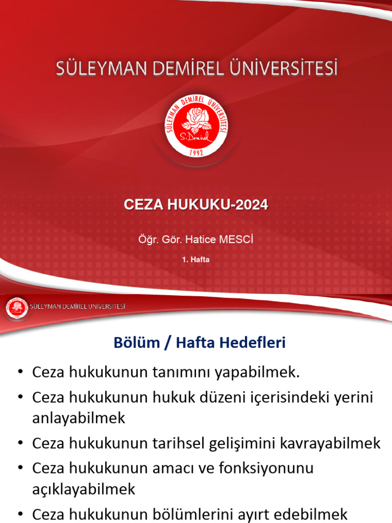 Ceza Hukuku Sunu 2024 | PDF