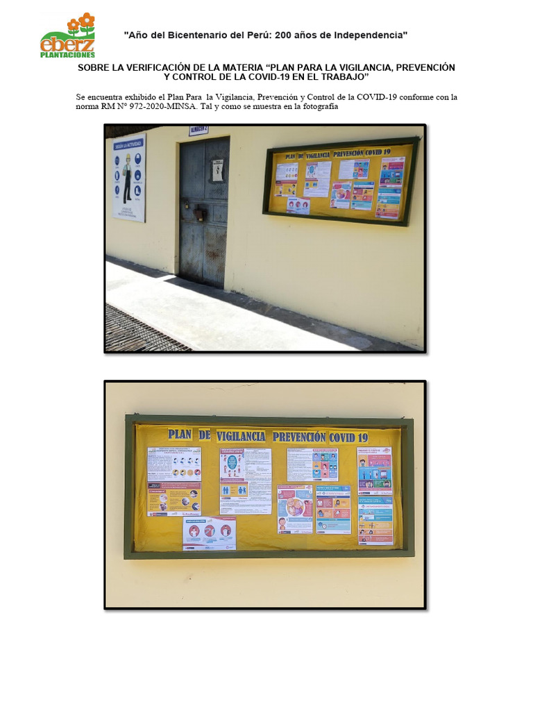 Plan Covid - 19 | PDF