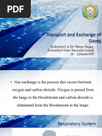 Structure and Function of The Gas Exchange System - Respiration and Gas ...