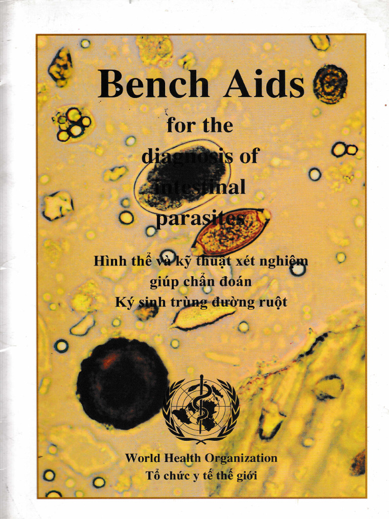 Hình Thể Và Ktxn Giúpchẩn Đoán Kstđr | PDF | Wellness | Computers