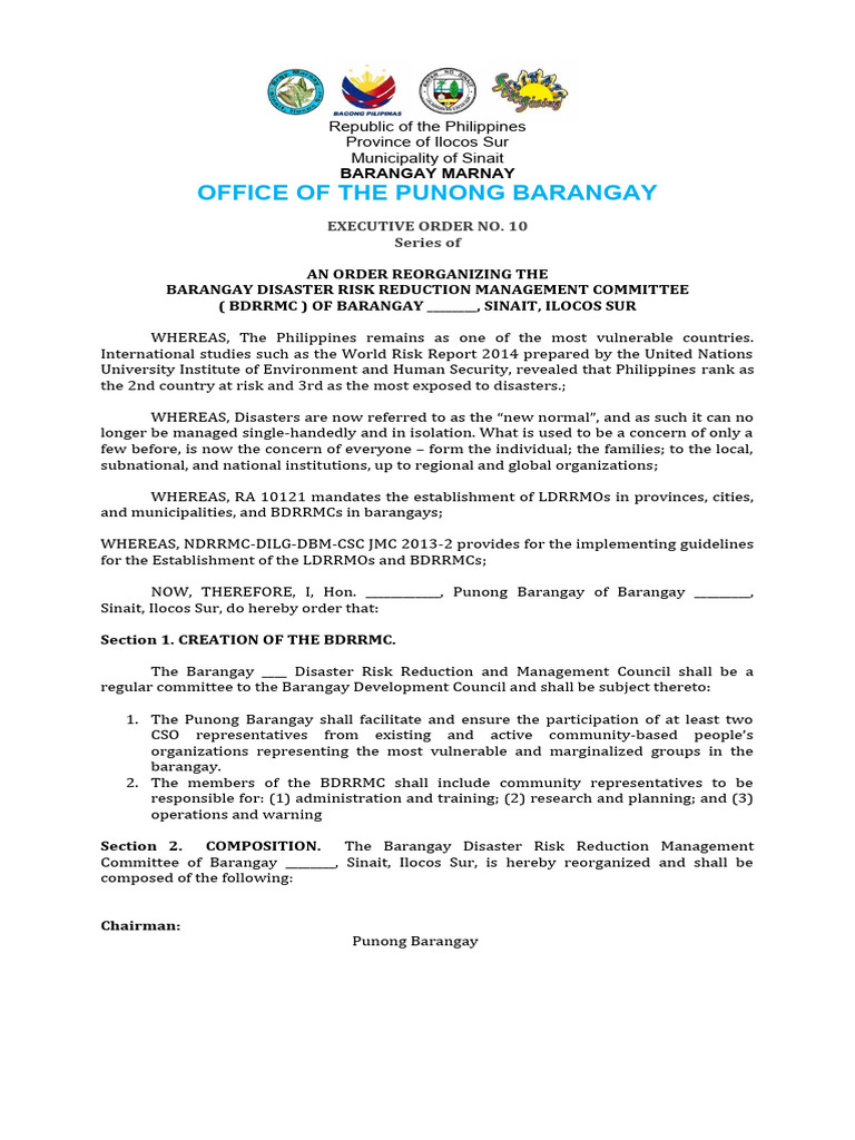 Barangay Disaster Risk Reduction and Management Council | PDF ...