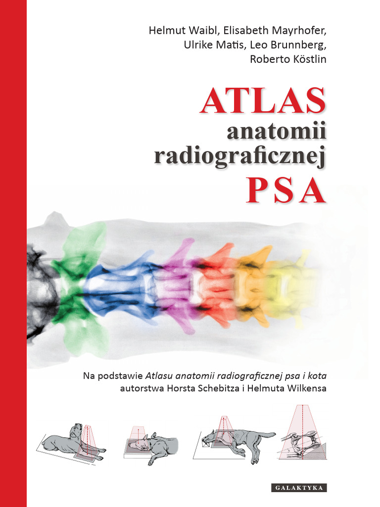 Atlas Anatomii Radiograficznej Psa | PDF