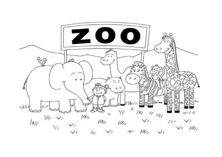 Zoo | PDF
