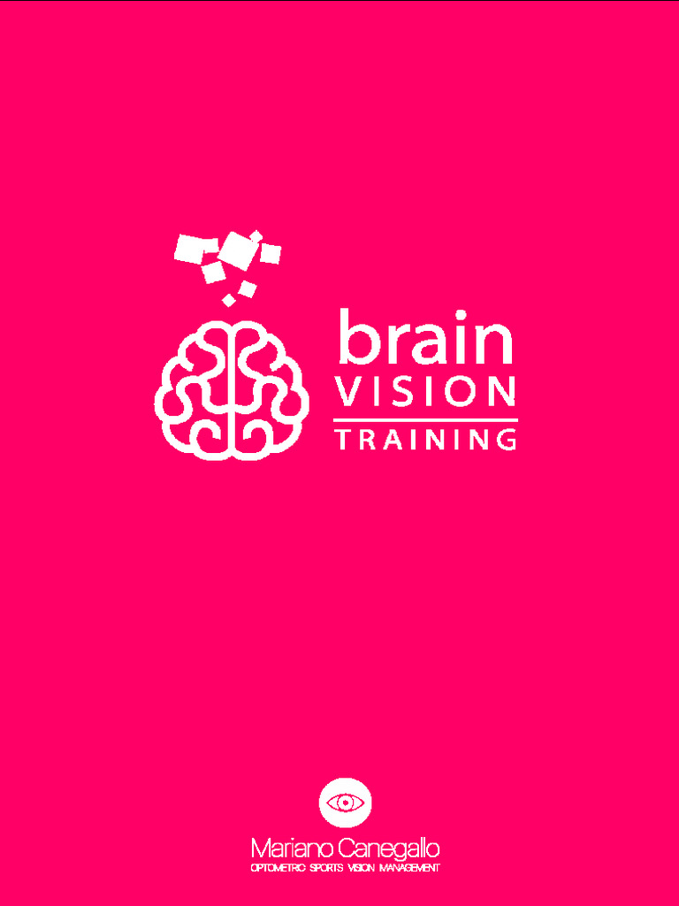 BVT Habilidades Visuales-1 | PDF | Percepción visual | Percepción