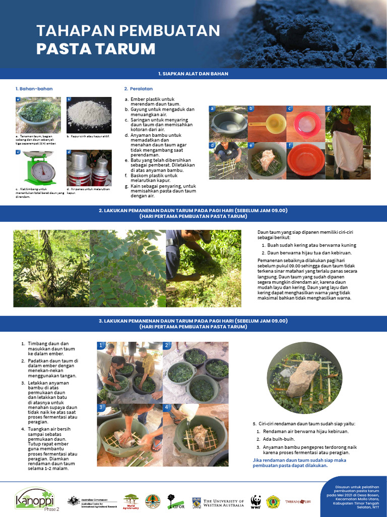 Tahapan Pembuatan Pasta Indigo | PDF