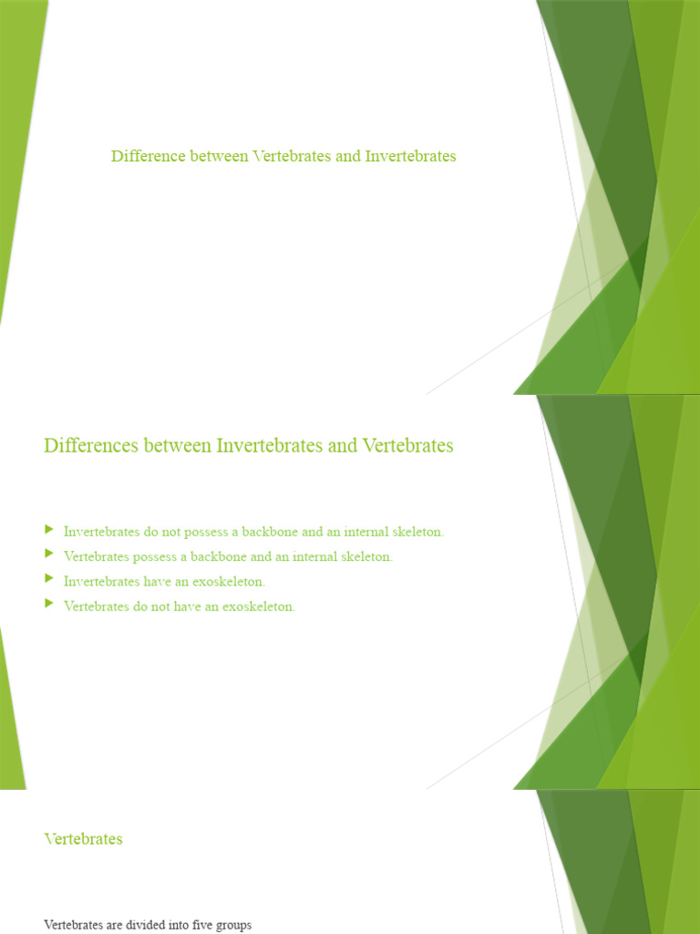 Vertebrates vs Invertebrates Explained | PDF