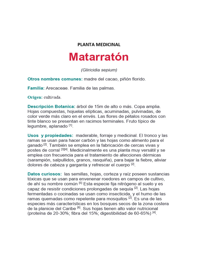 MATA RATÓN | PDF