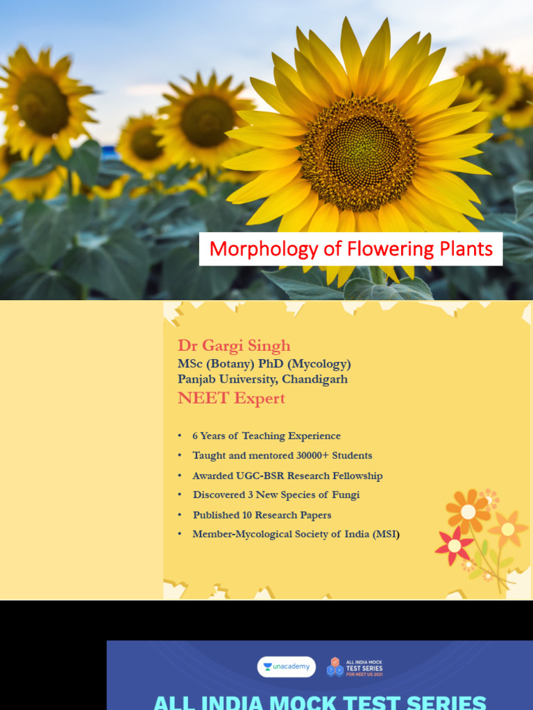 Morphology of Flowering Plants | PDF | Branches Of Botany | Botany