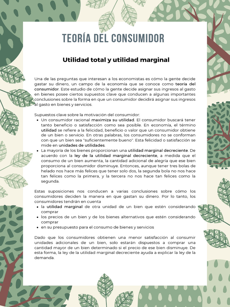 Teoría Del Consumidor | PDF | Utilidad marginal | Utilidad