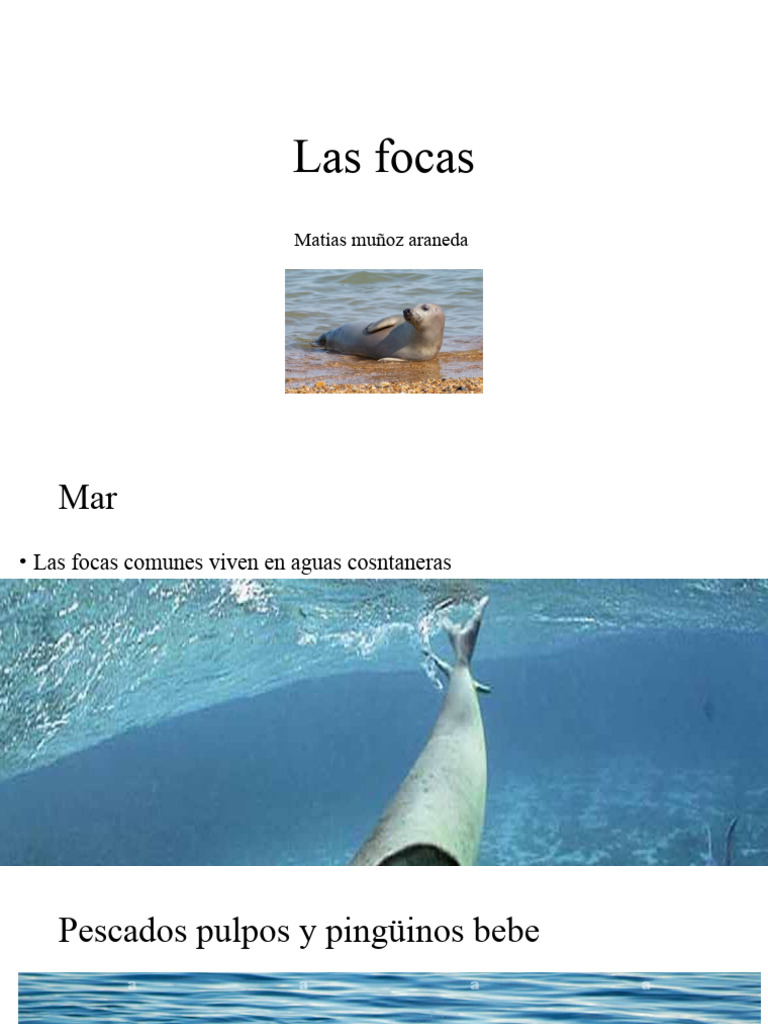 Las Focas | PDF