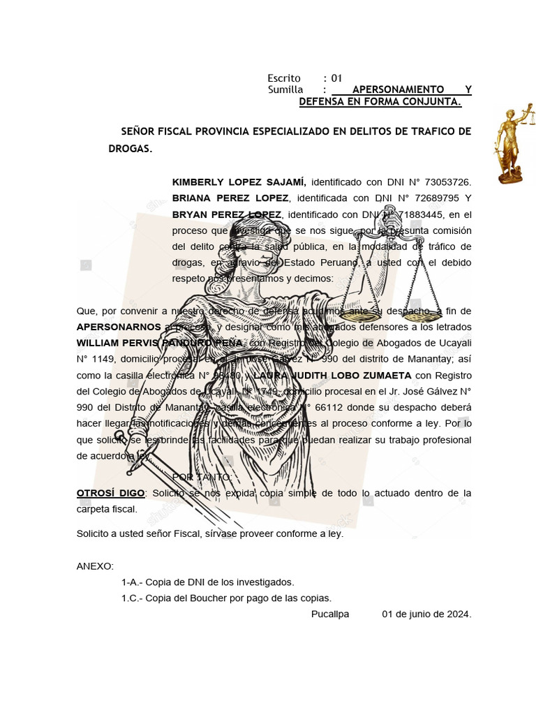 Apersonamiento y Defensa en Forma Conjunta | PDF