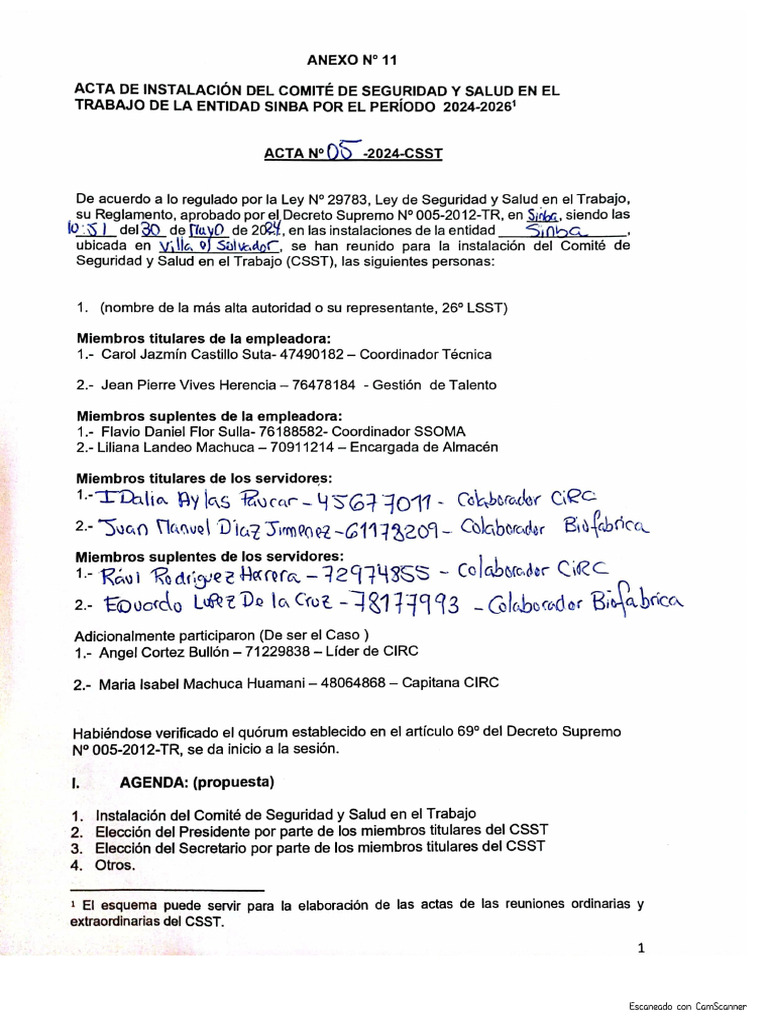 Acta de Instalación Del Comité de SST 2024-2026 | PDF