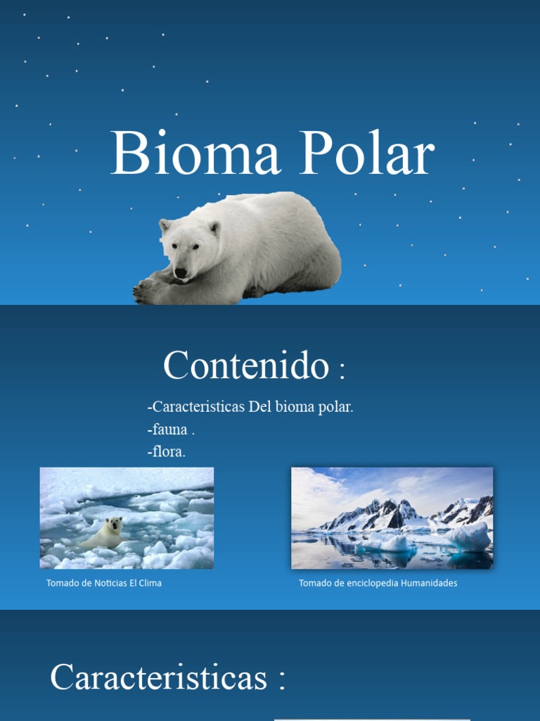 Bioma Polar | PDF