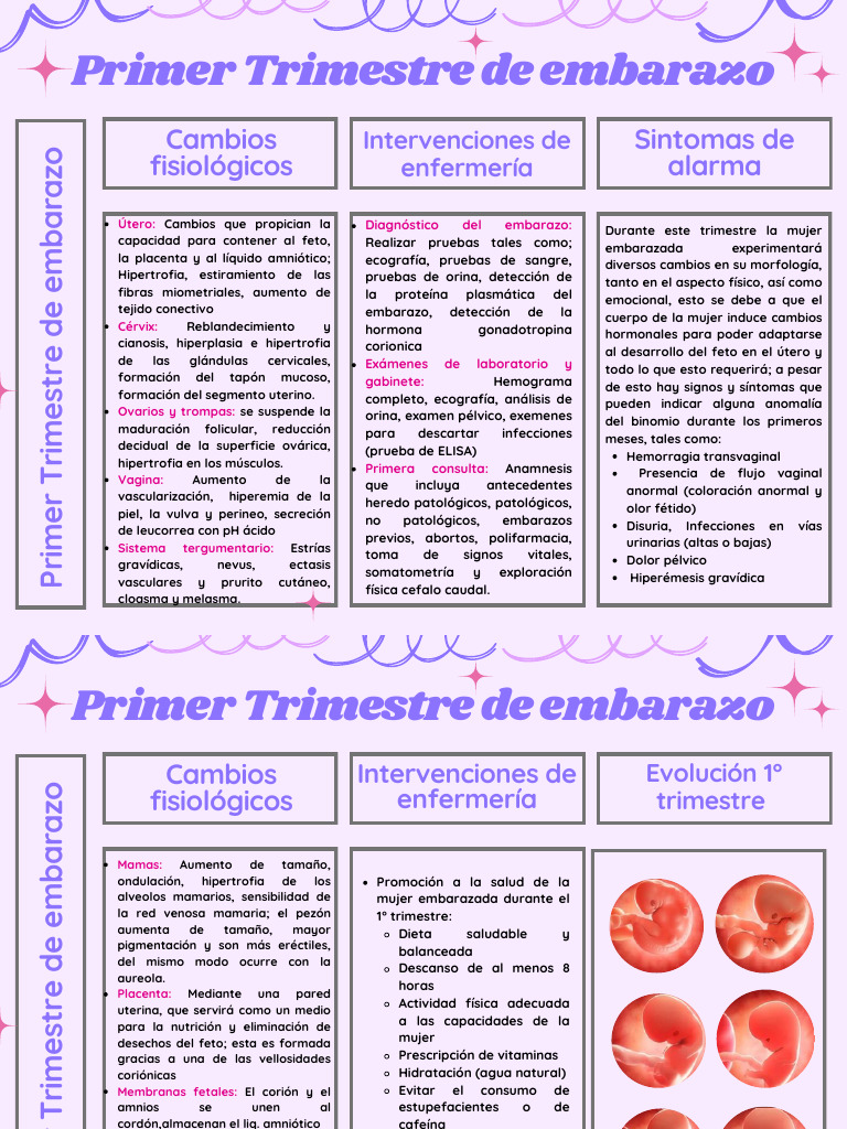 cuadros descriptivos del los trimestres en el embarazo | PDF | El ...