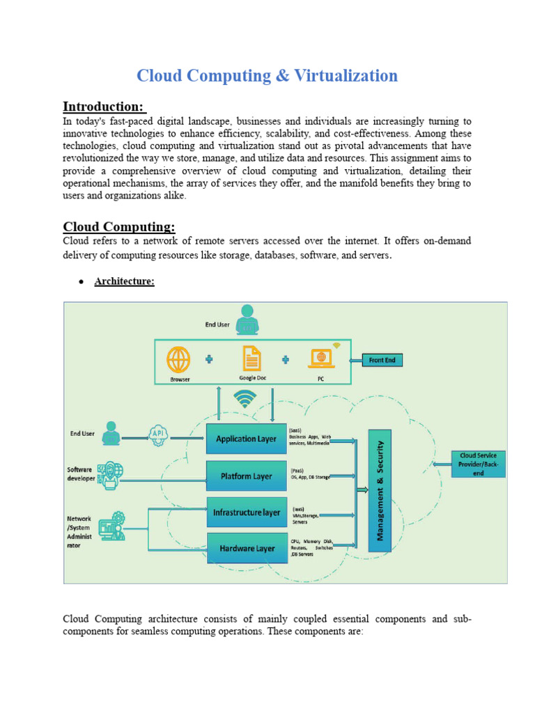 MIS-310 Assignment | PDF | Cloud Computing | Virtualization