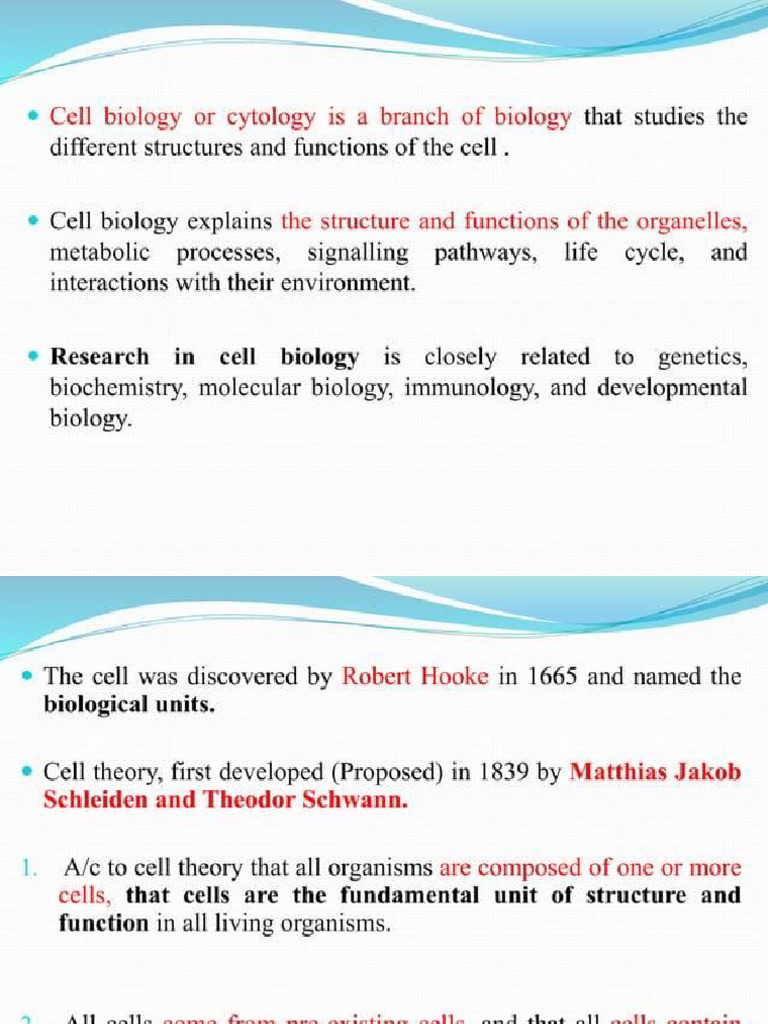 Classification of Cells | PDF