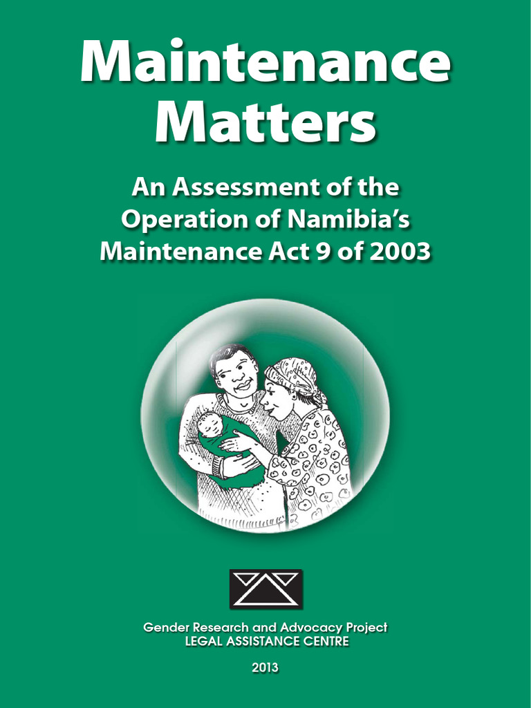 Maintenance Matters Full | PDF | Child Support | Complaint